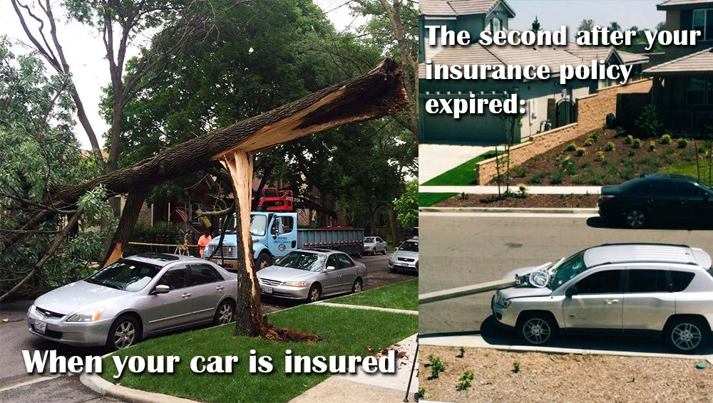WHY IS THE MOTOR VEHICLE INSURANCE IMPORTANT